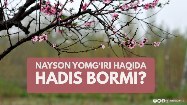 O`zbekiston musulmonlari idorasi